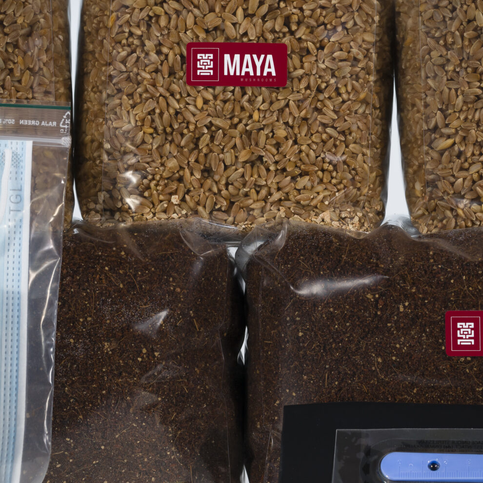 Monotub Mushroom Grow Kit – Maya Mushrooms (UK)